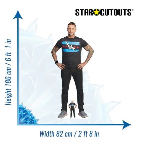 WWE CM PUNK LIFE SIZE CARDBOARD CUT OUT