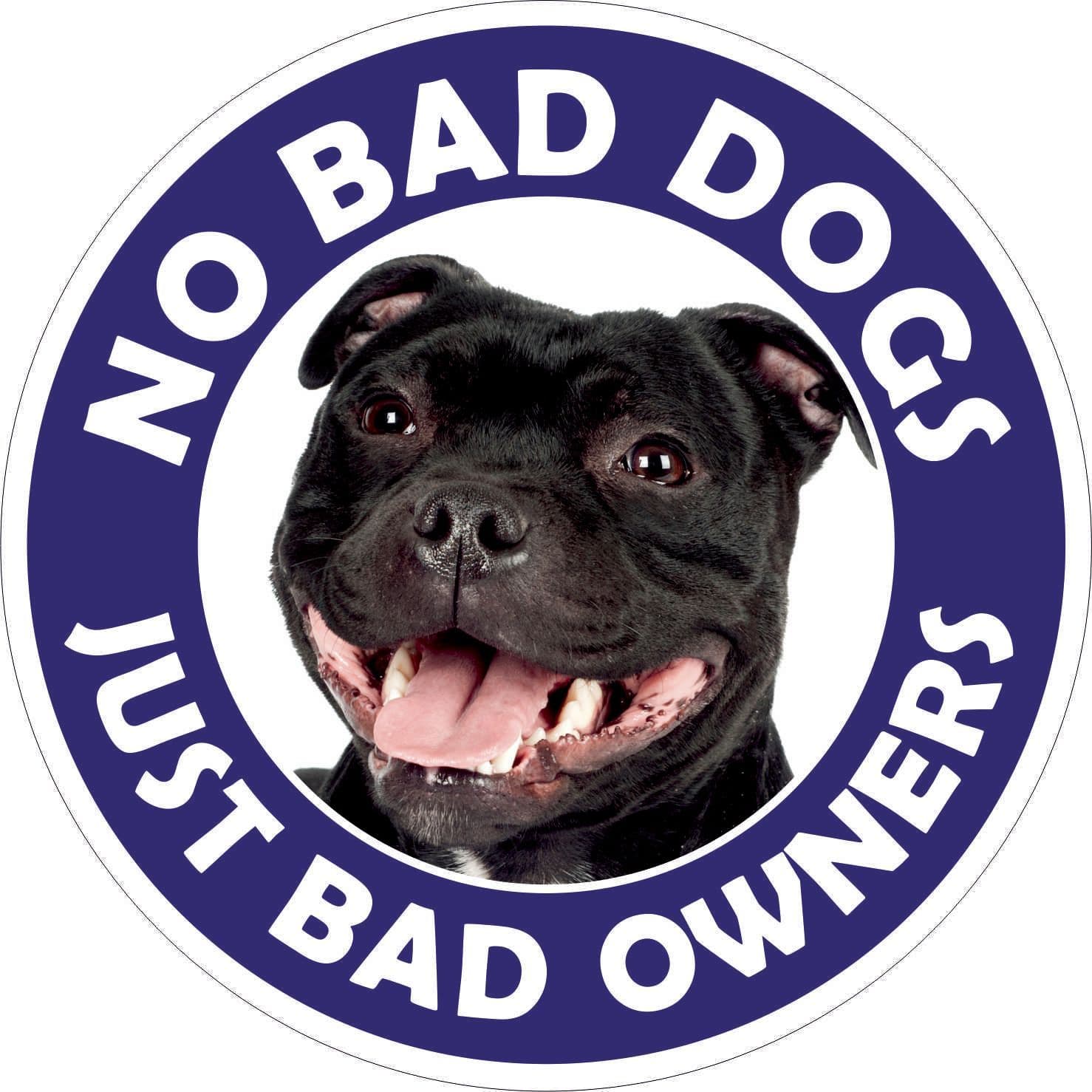 Are Some Dogs Just Bad Dogs