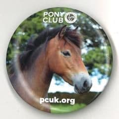 Pony Club Test Felts, Badges & Certificates