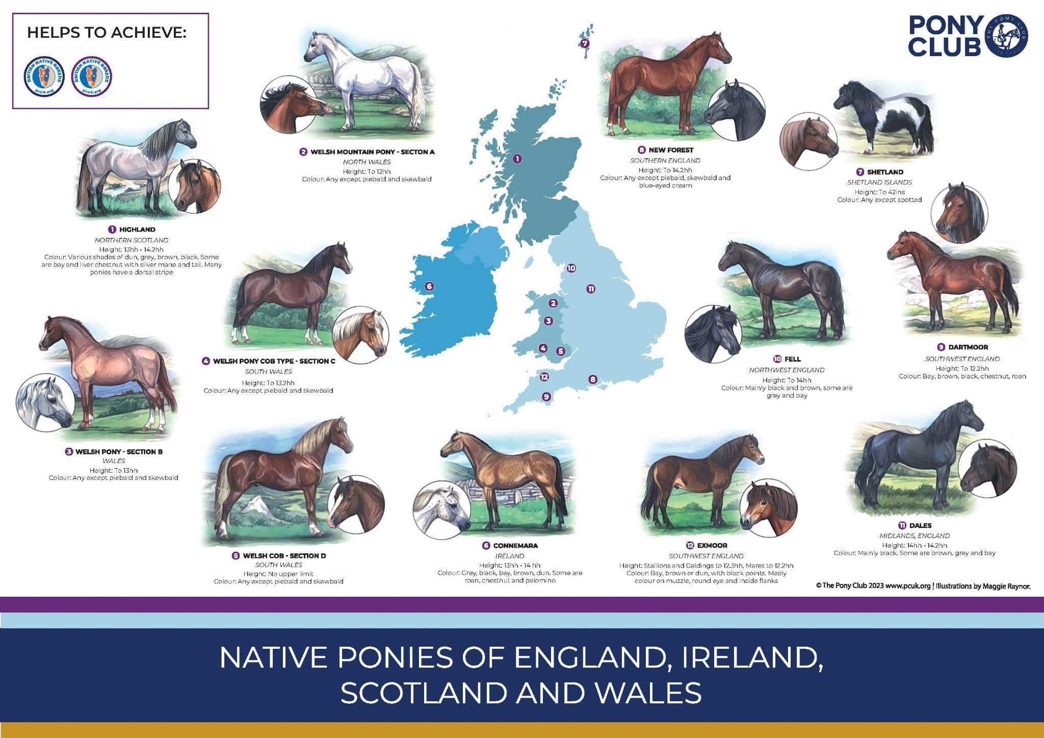 New Pony Club Posters Pack of 4