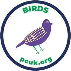 Pony Club Birds Achievement Badge