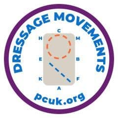 Pony Club Dressage Movements Mini Achievement Badge