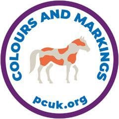 Pony Club Mini Colours & Markings Achievement Badge