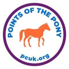 Pony Club Mini Points of the Pony Achievement Badge