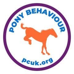 Pony Club Mini Pony Behaviour Achievement Badge