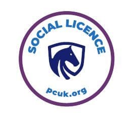 Pony Club Mini Social Licence Achievement Badge 142