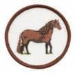 Pony Club Native Breeds Achievement Badge