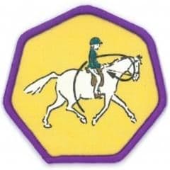 Pony Club Understanding Training Gold Achievement Badge