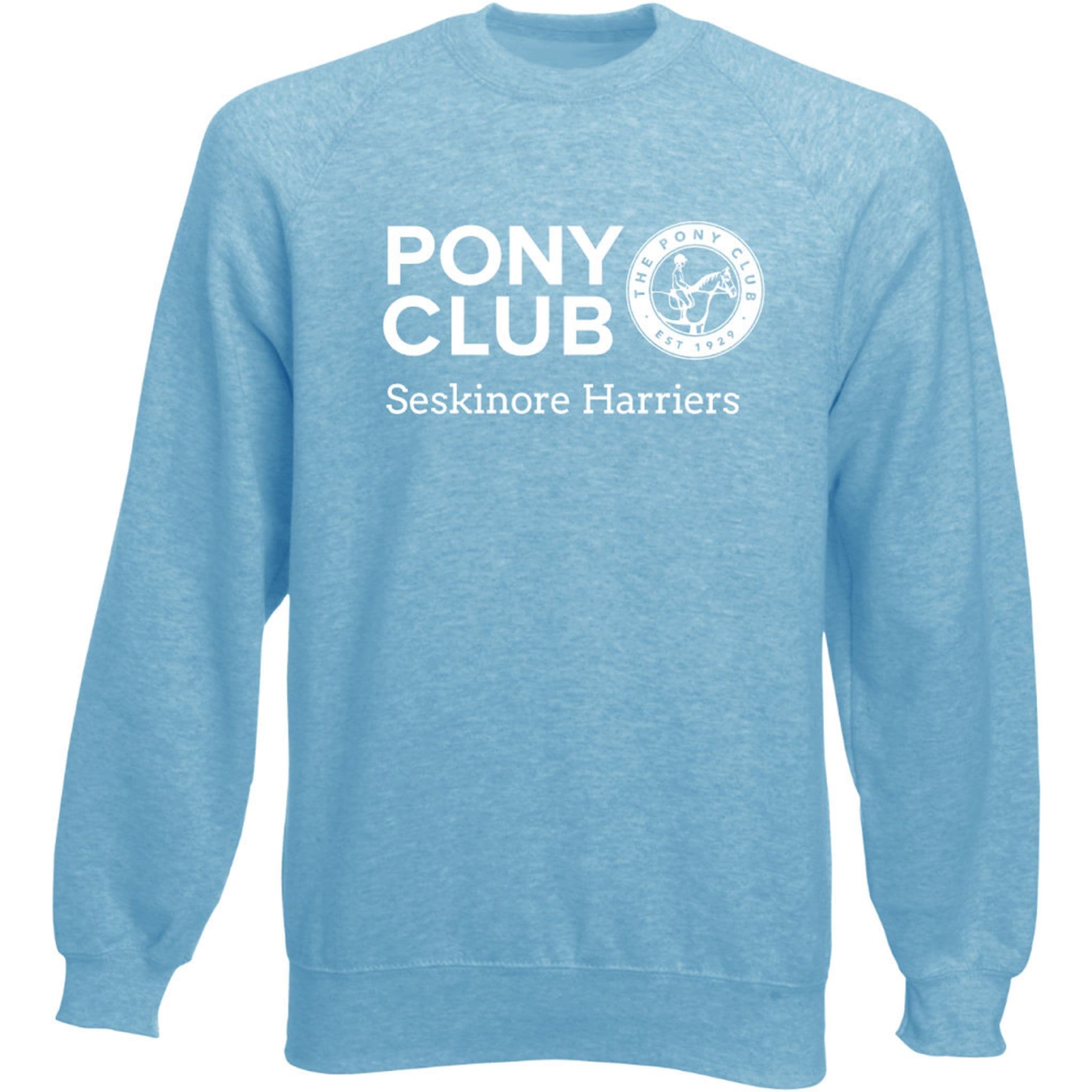 Seskinore Harriers Sky Blue PC Sweatshirt