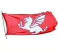 White Dragon Flag of the English