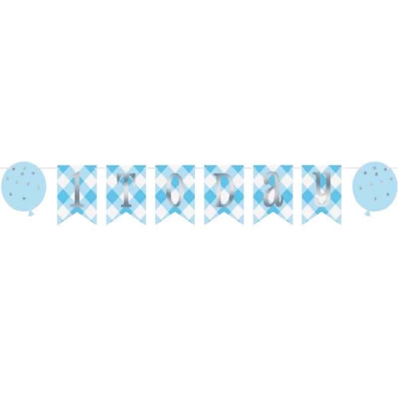 Blue Gingham Pennant Banner