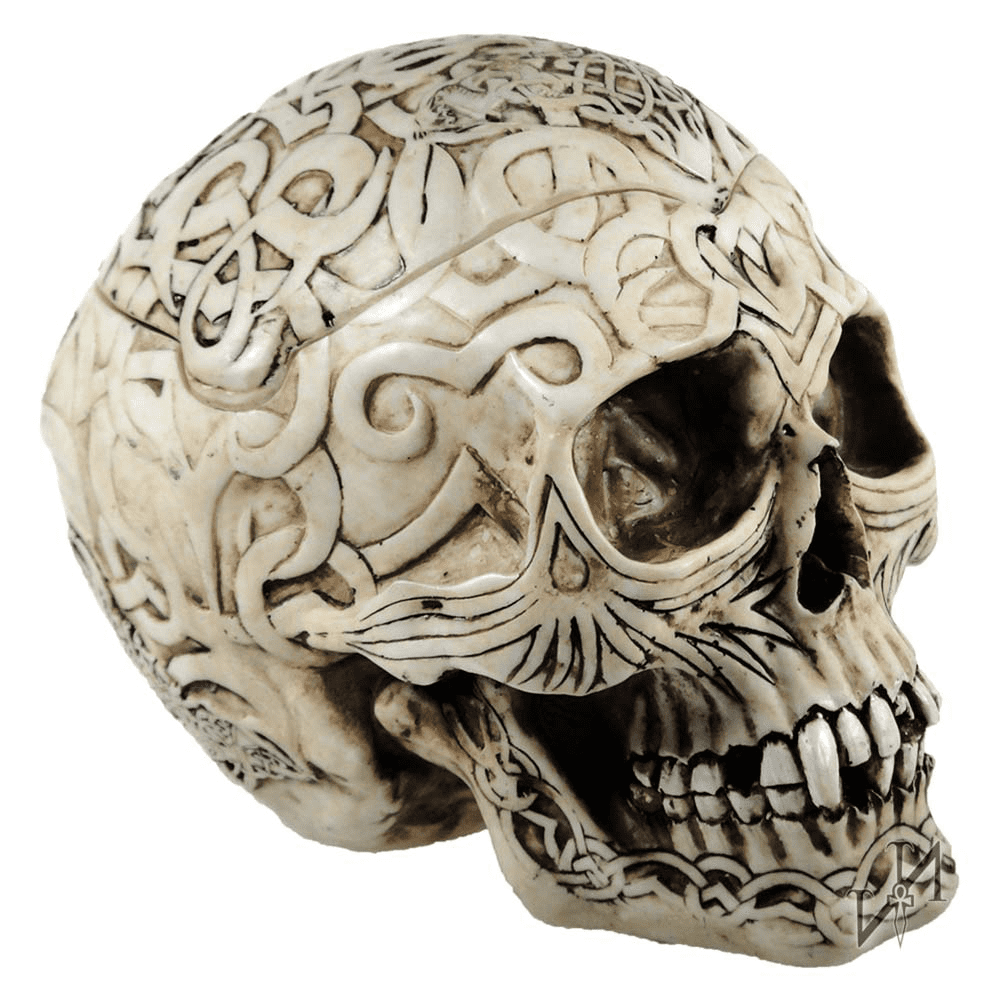 Celtic Skull Box