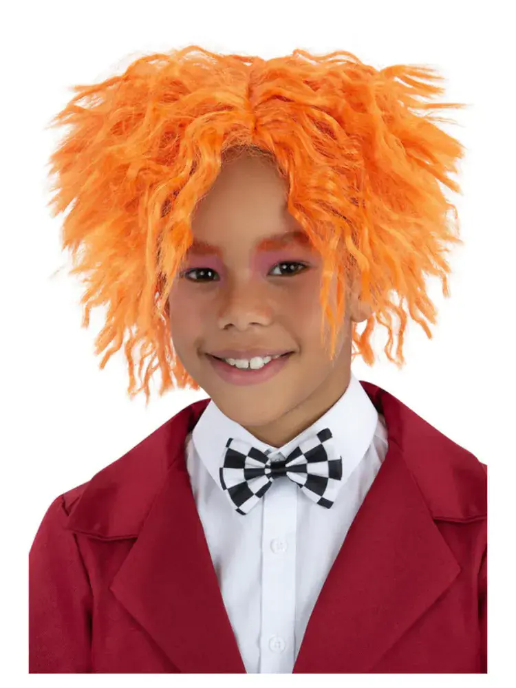 Child s Mad Hatter Wig