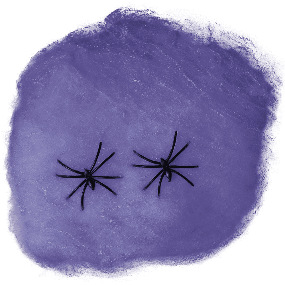 Purple Cobweb With Spiders