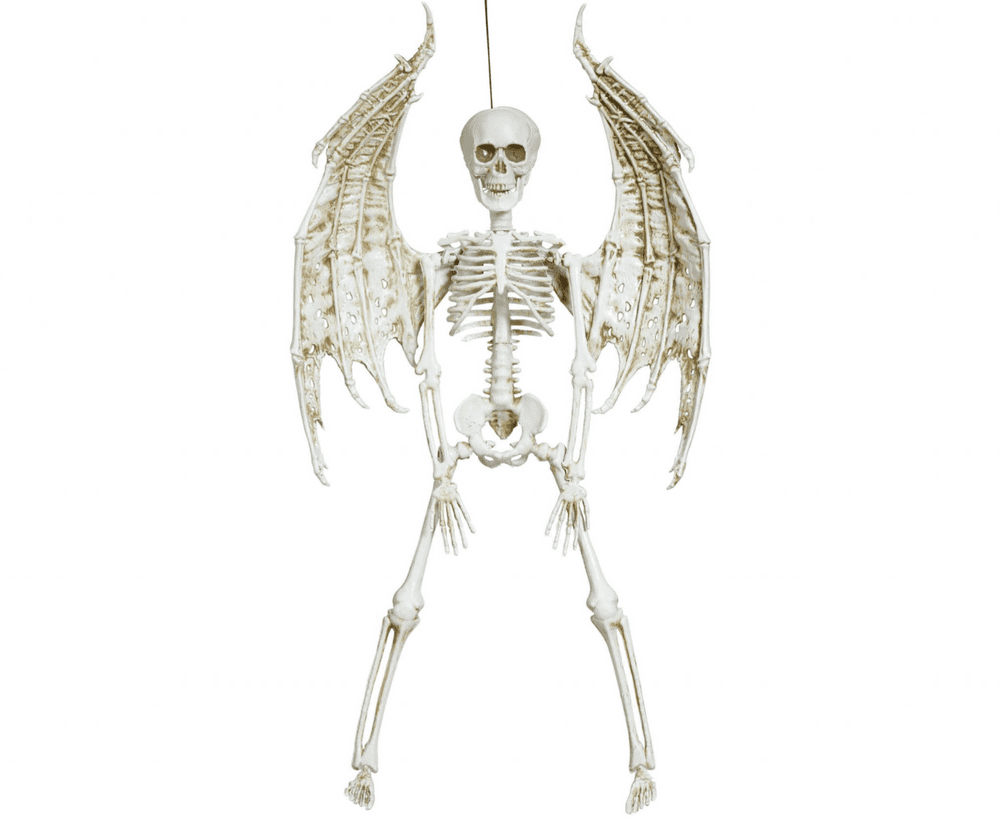 Skeleton With Wings