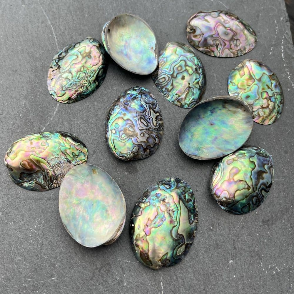 Paua Gems