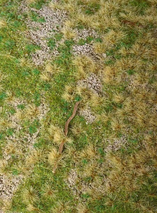 Model Scene F610 Grass Mat Forest Base Pine Wood