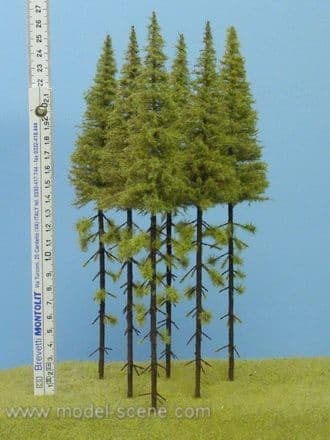 Model Scene MK250 Larch Trees with Trunk 230-270mm Pack of 5