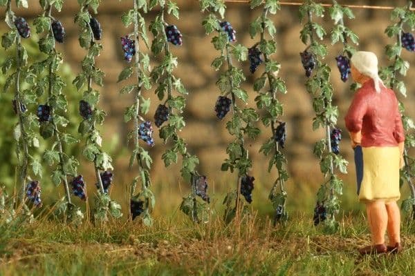 Model Scene VG7-222 Grapevine Plants Kit Scale HO 1 72/87