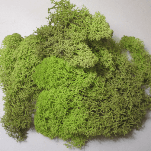Spring Green 50g bag