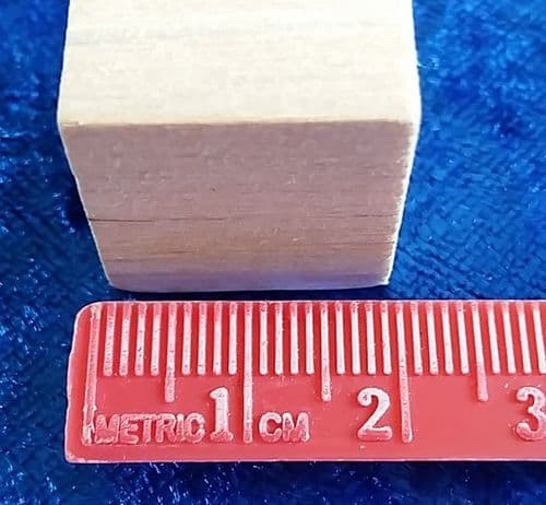 Wooden Blocks Pack of 10 Large