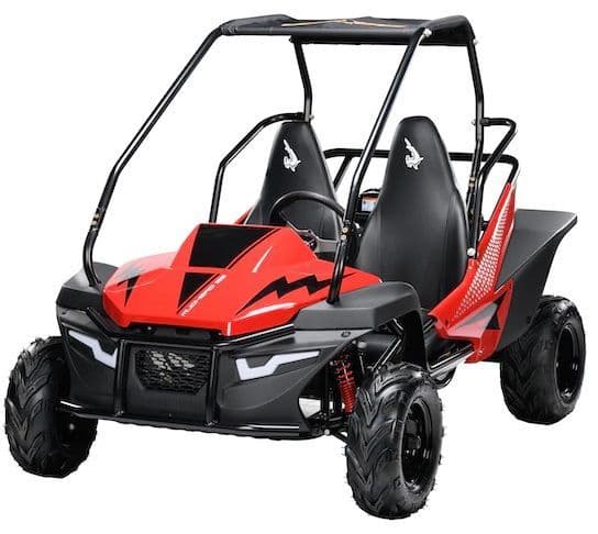 Hammerhead Mudhead 208R SE Reverse Kids Off Road Buggy - RED