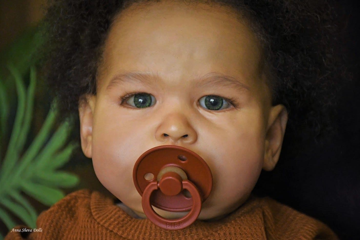 Blue Sparrow - Pre-Order on 27th of September