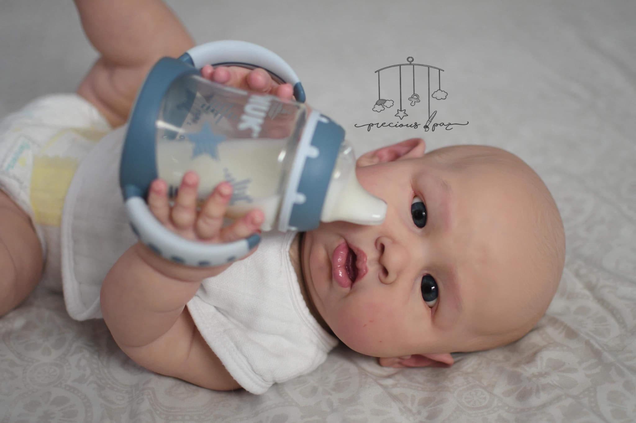 Blue Sparrow - Pre-Order on 27th of September