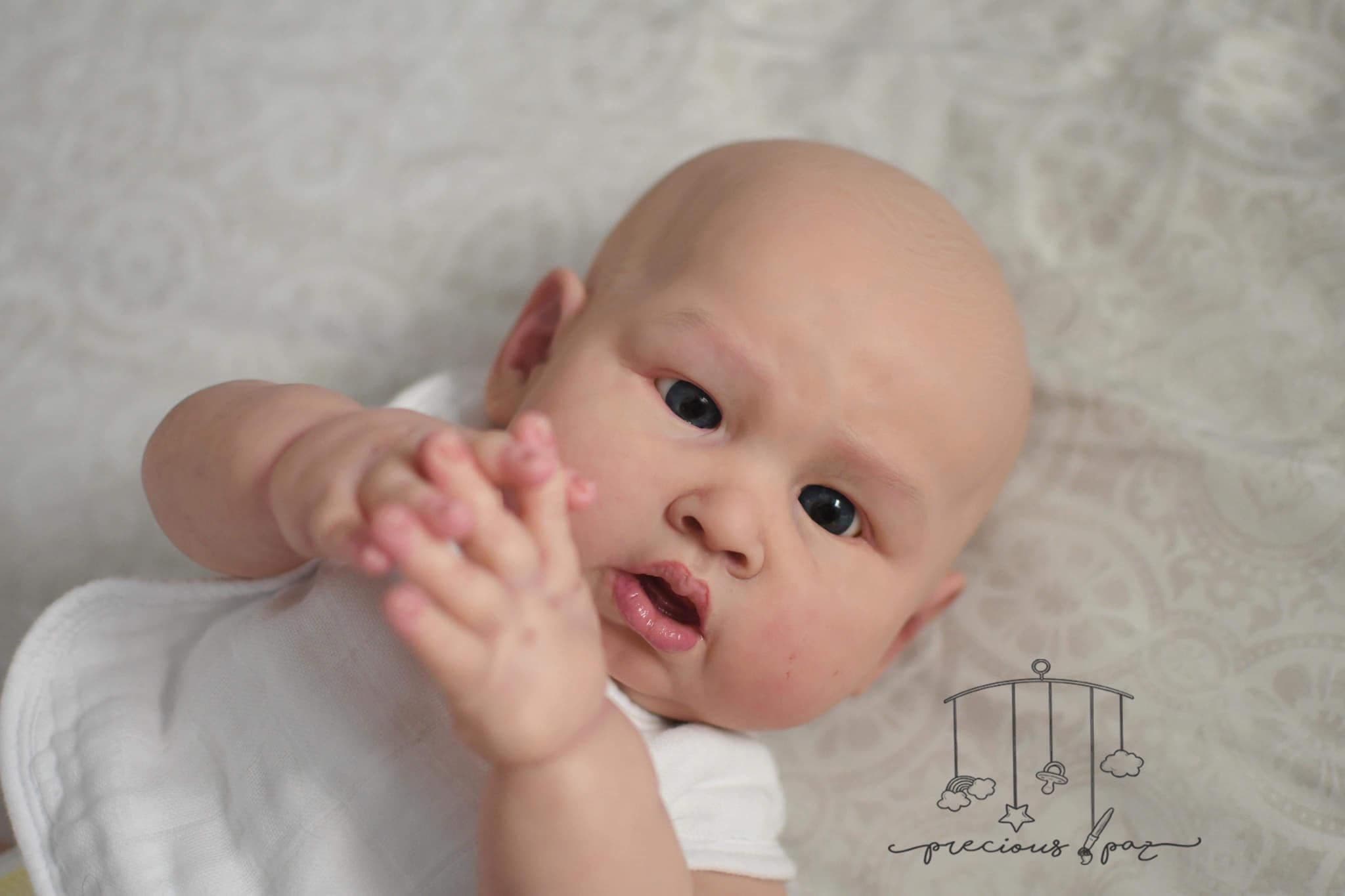 Blue Sparrow - Pre-Order on 27th of September