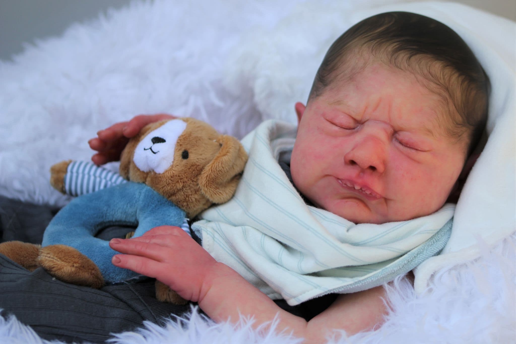 Zeke - Pre-Order on 1st of April