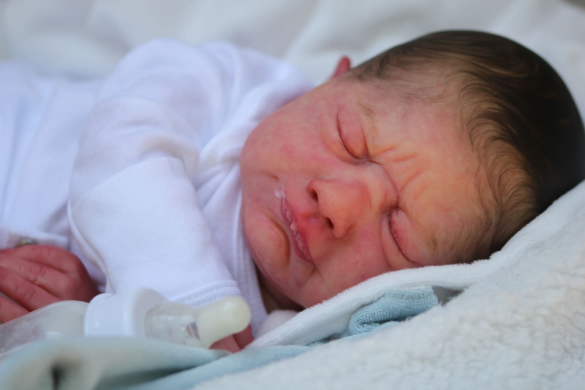 Zeke - Pre-Order on 1st of April