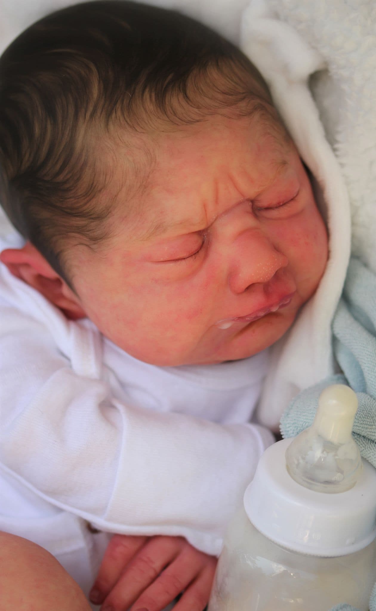 Zeke - Pre-Order on 1st of April