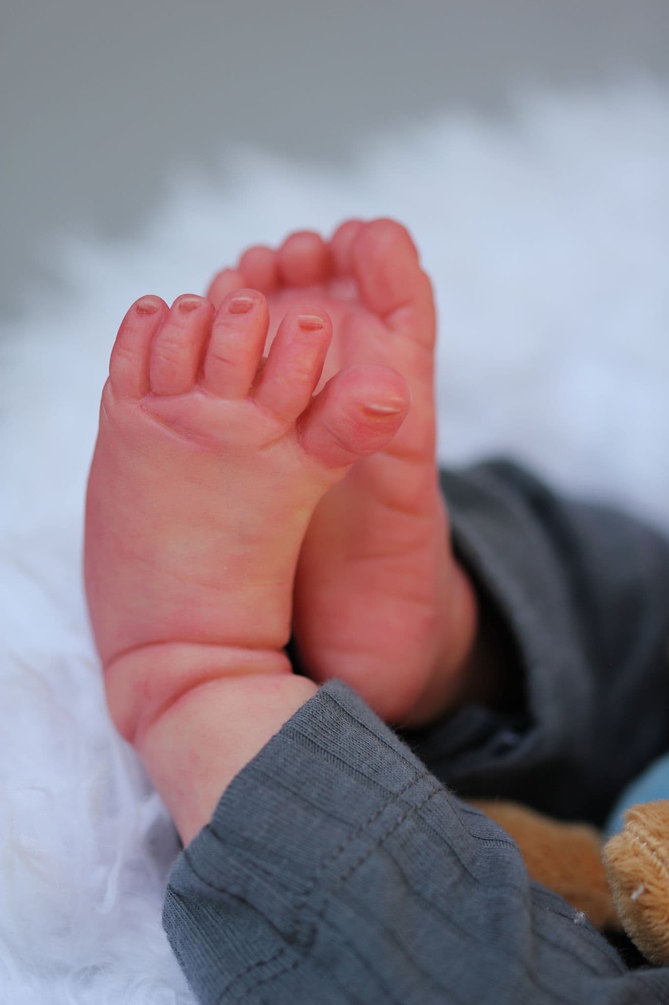 Zeke - Pre-Order on 1st of April