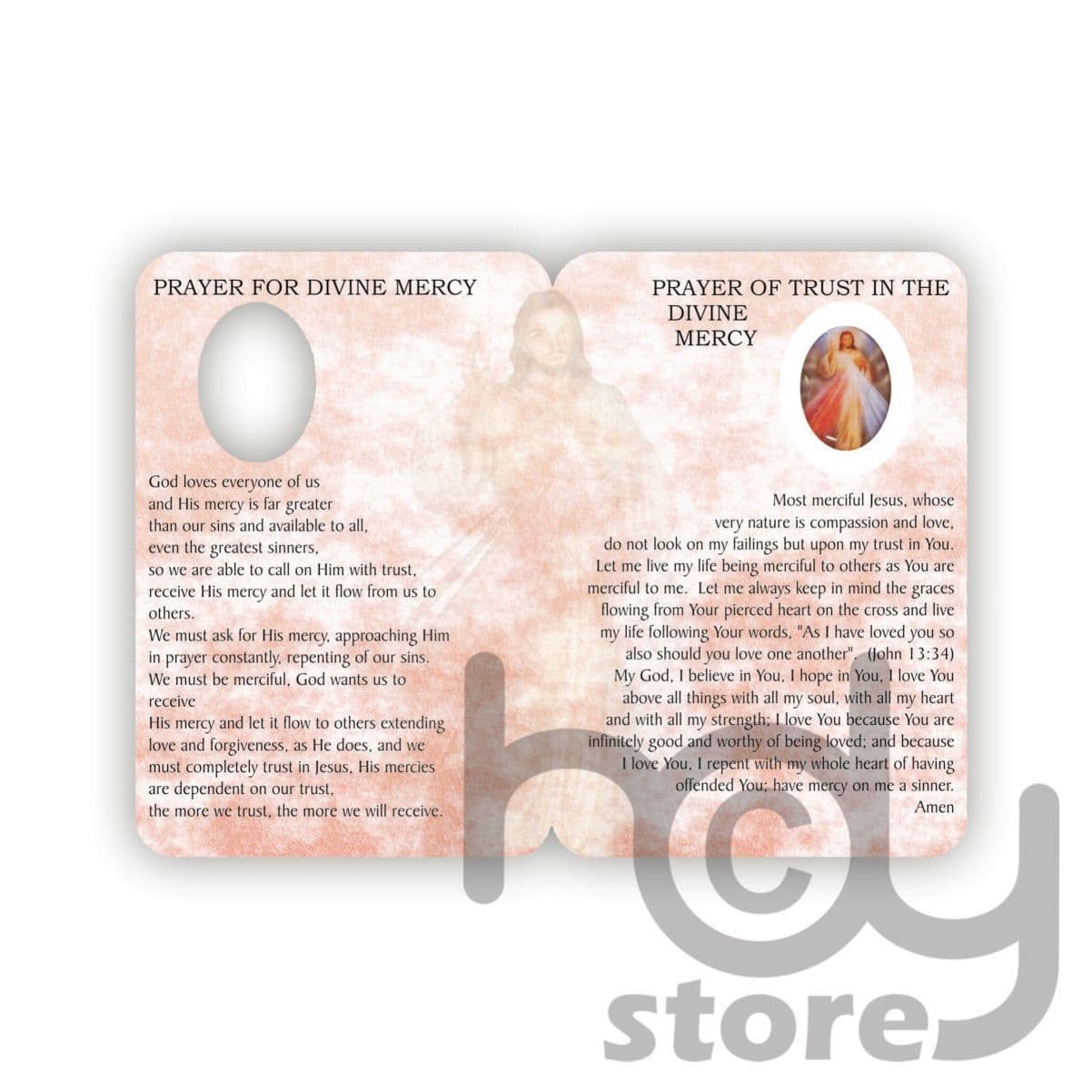 Divine Mercy Prayer Card Booklet praying hands design
