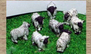 LANGLEY MODELS A70 N SCALE 8 Sheep