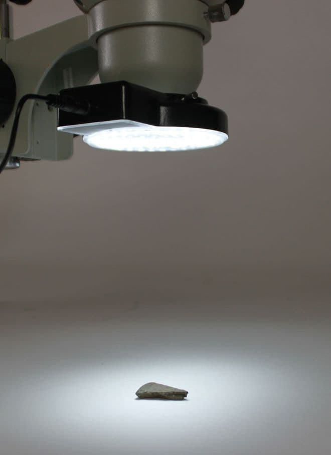 LED Ringlight Adjustable Intensity