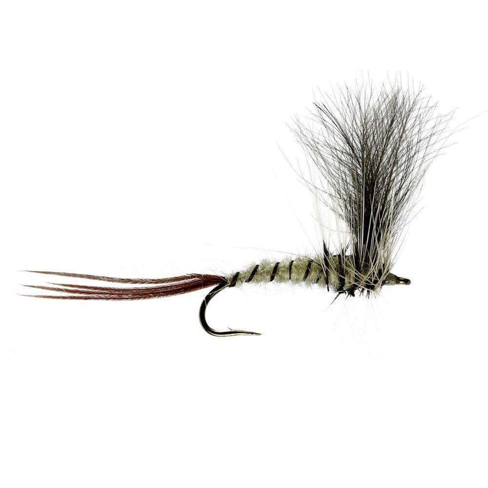 BAZ MAYFLY - CALEDONIA