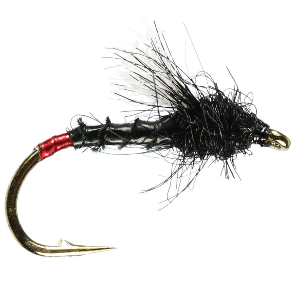 BLACK QUILL BIT STILLWATER DRY - CALEDONIA