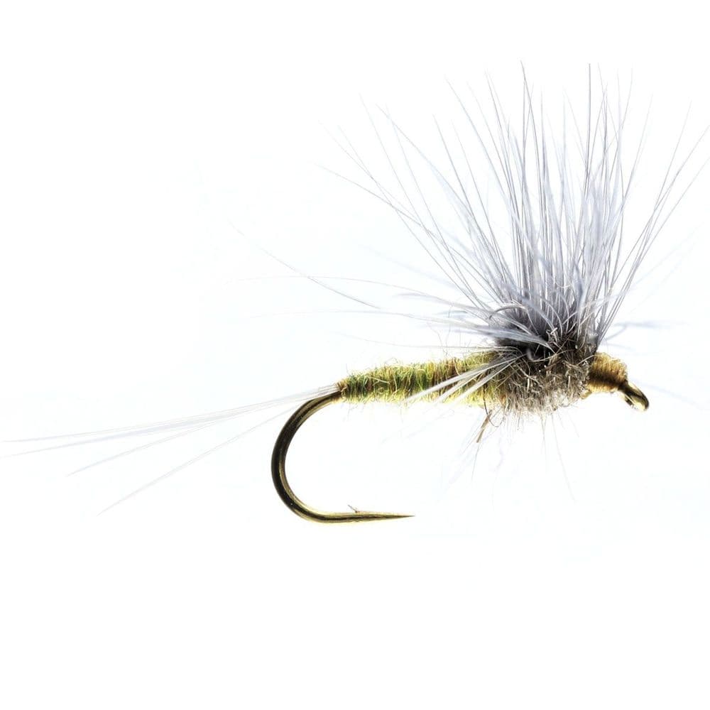 BLUE WINGED OLIVE STACKED HACKLE - CALEDONIA