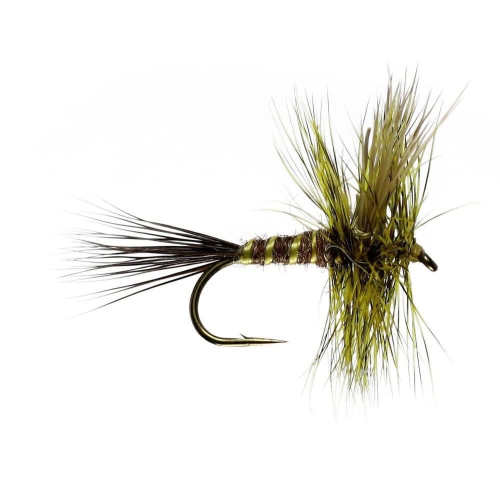 BROWN DRAKE MAYFLY - CALEDONIA