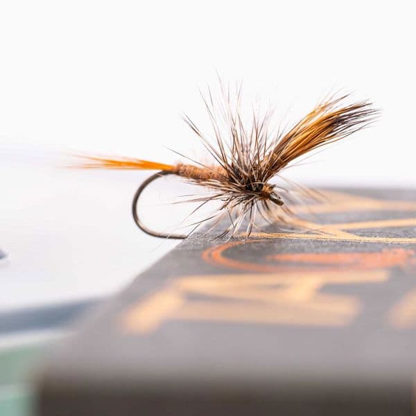 Caledonia Trout Fly Selection - March Brown