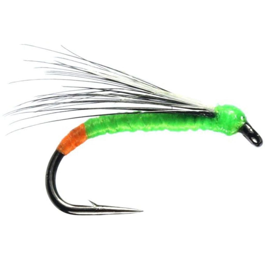 FLUO MIDGE SPIDER - CALEDONIA