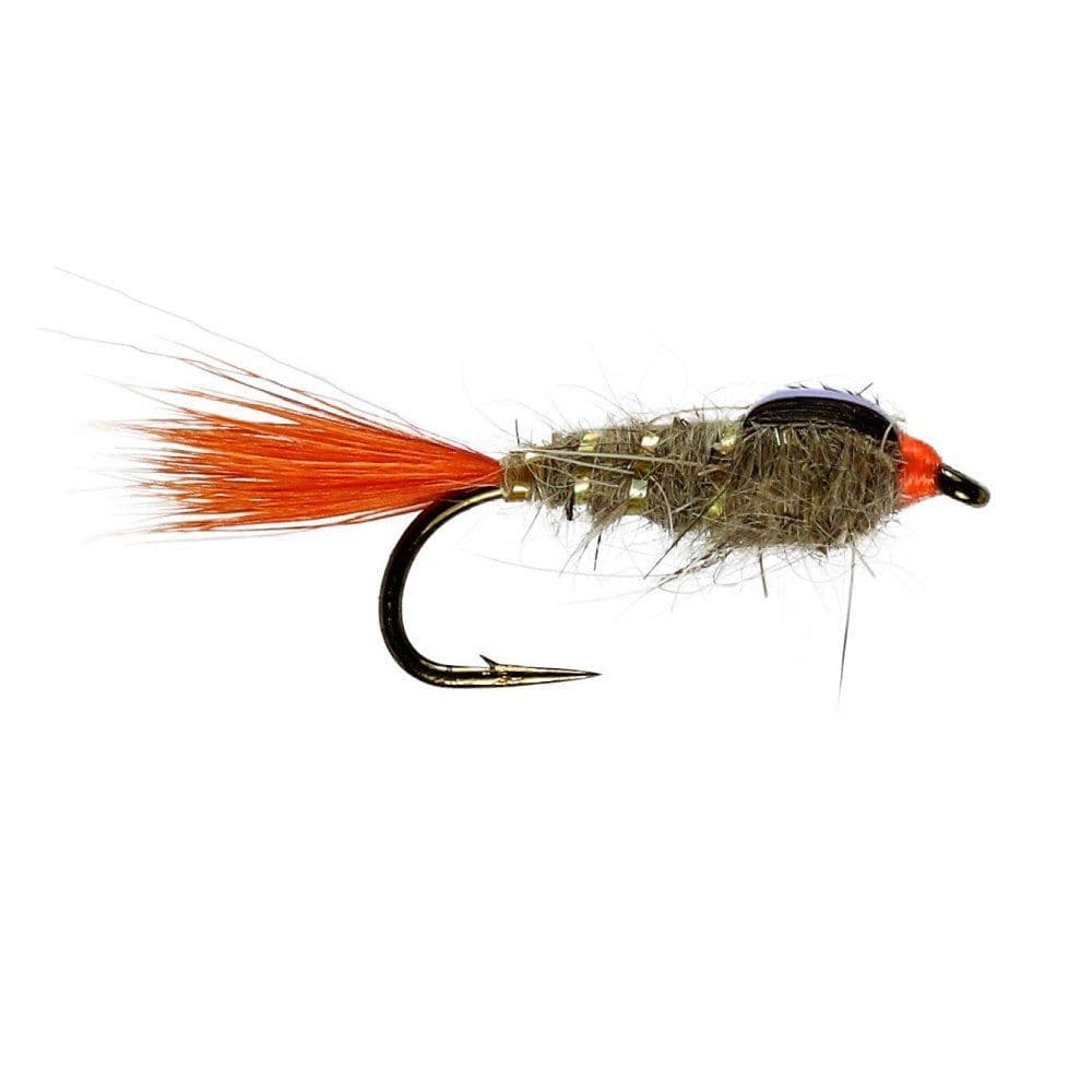 GRHE FIRE TAIL UNWEIGHTED NYMPH - CALEDONIA