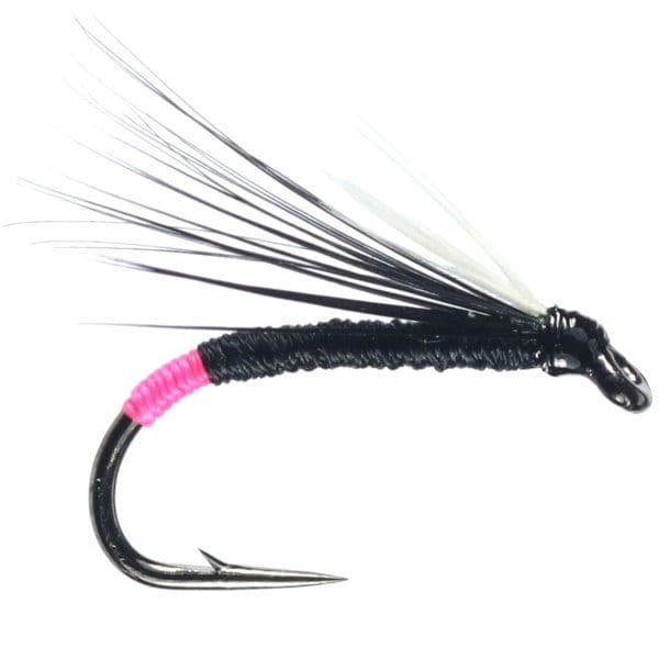 MIDGE SPIDER - CALEDONIA