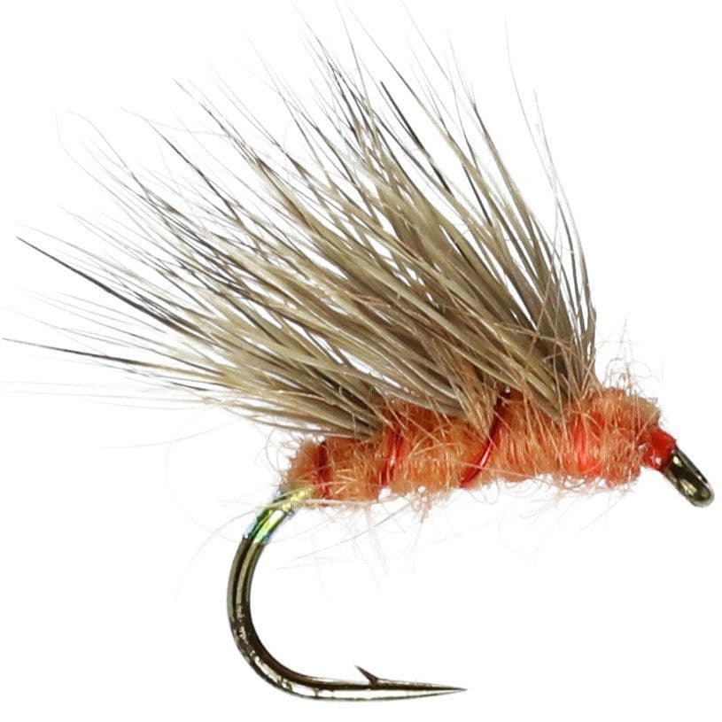 PEACH SEDGEHOG - CALEDONIA