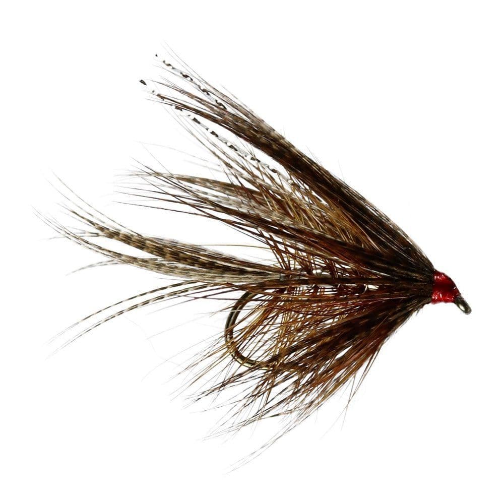 SILVER DABBLER - CALEDONIA