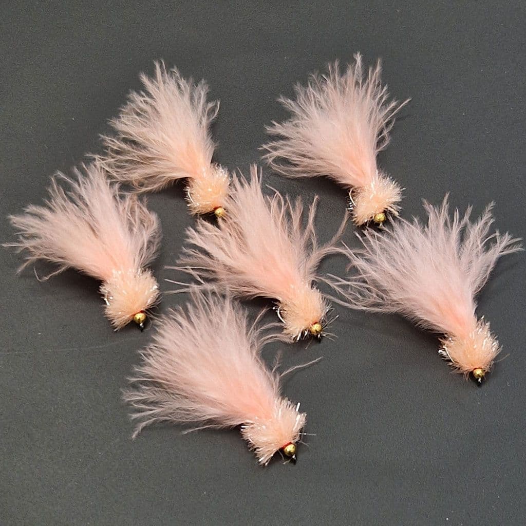 Six Pack - Baddy Fly Coral