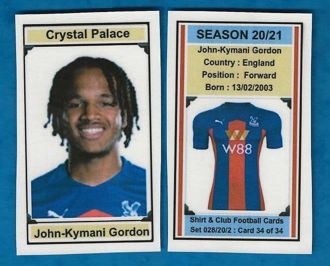 Crystal Palace John-Kymani Gordon 34
