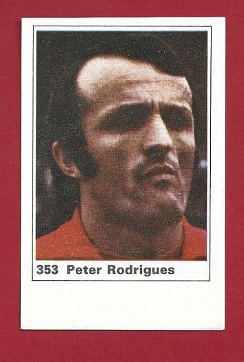 Peter Rodrigues's Instagram, Twitter & Facebook on IDCrawl