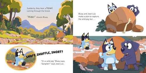 Bluey Camping Story Book